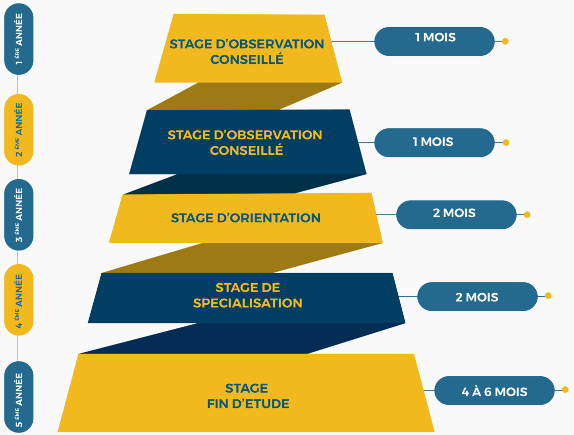Stage - ECOLE HIGH TECH - RECONNUE PAR L'ETAT